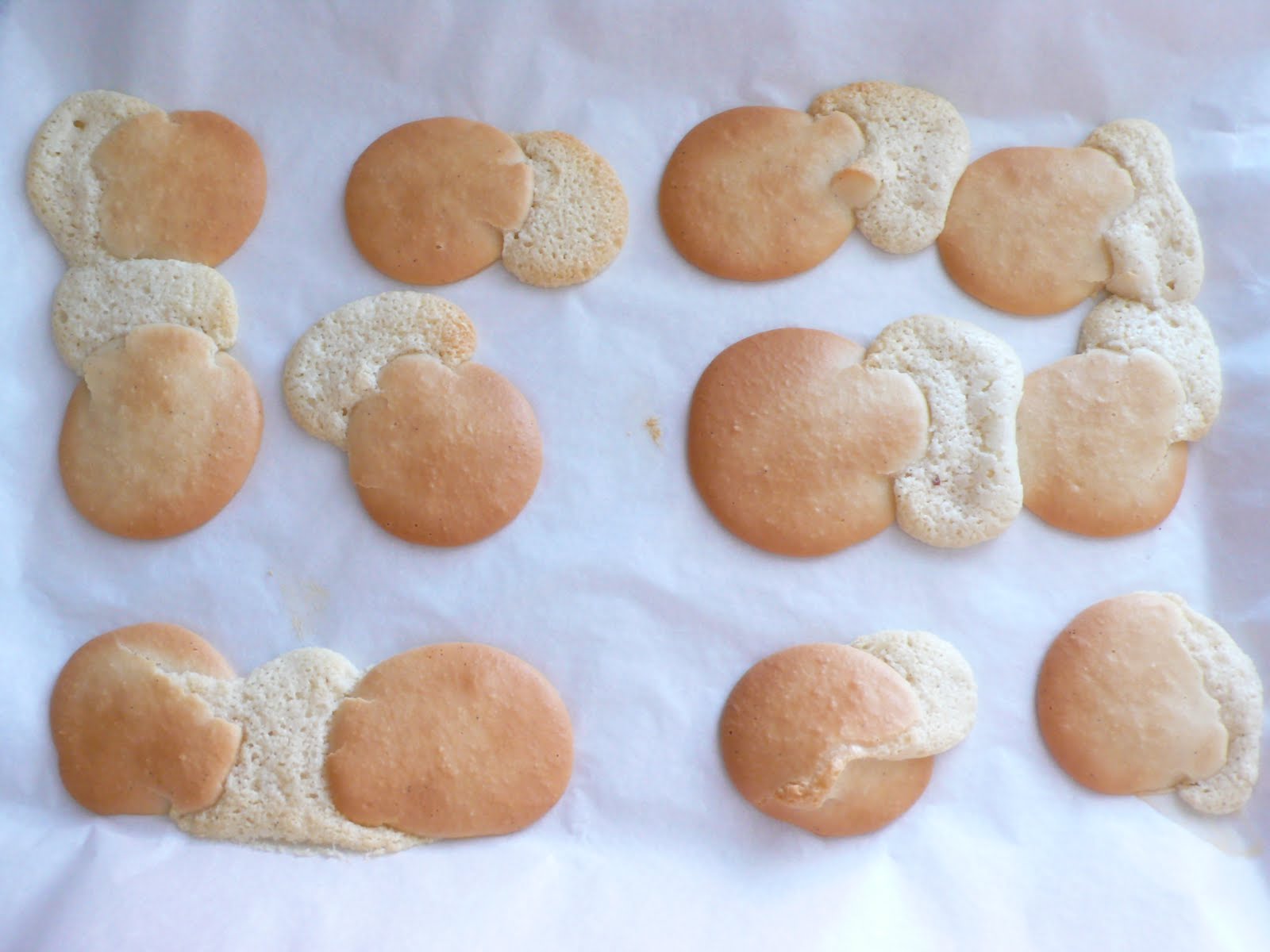 Food Endeavours of the Blue Apocalypse: Macarons and Chaos Theory