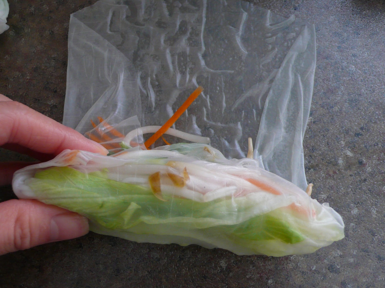 Food Endeavours of the Blue Apocalypse: Vietnamese Rice Paper Rolls