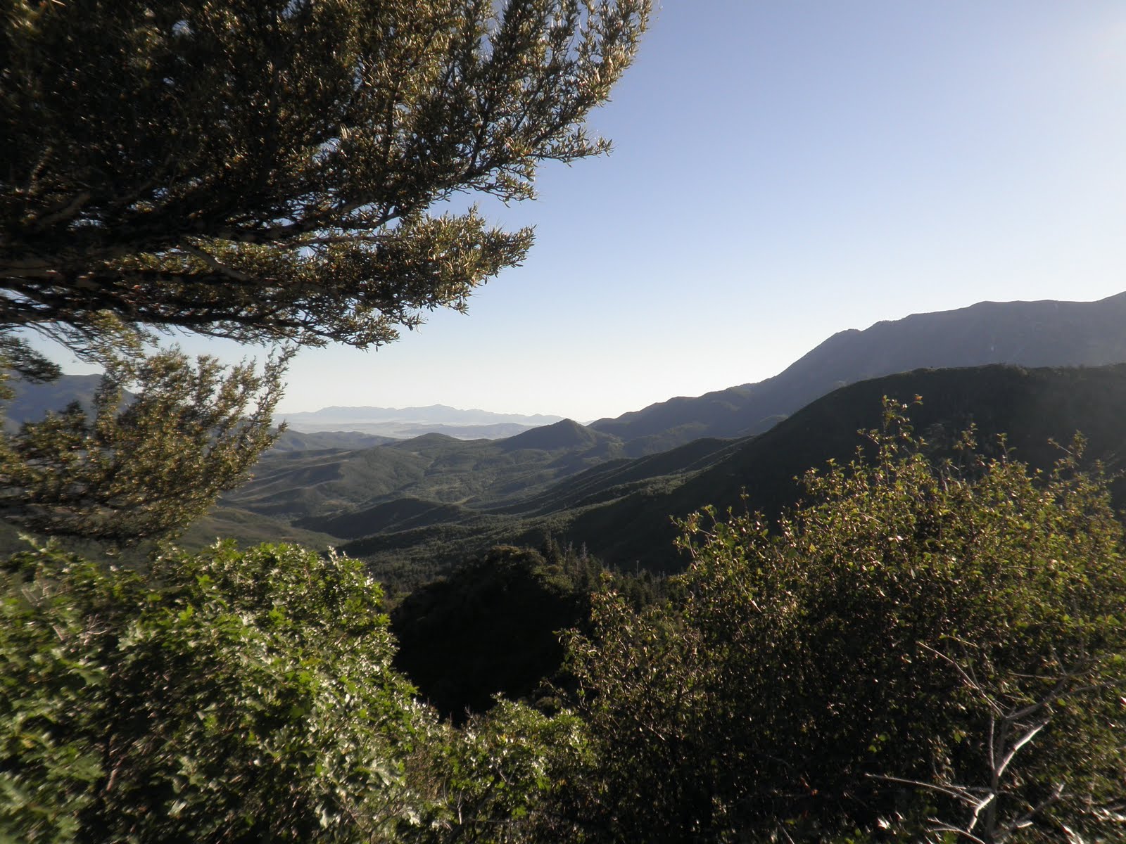 Tegwen's spot: Mt. Nebo Loop