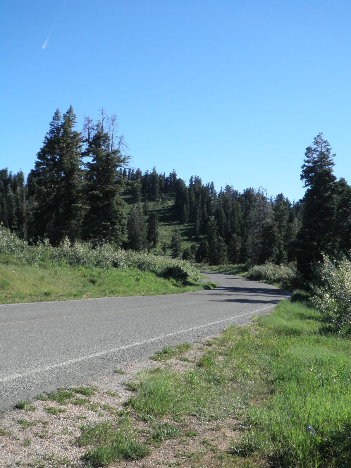 Tegwen's spot: Mt. Nebo Loop