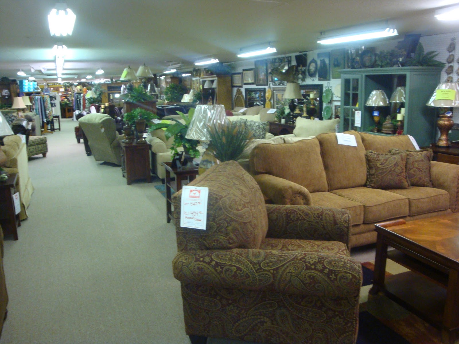 LIFES LITTLE GARDEN: A Little Big Store