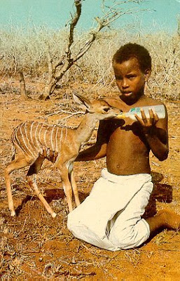 somali postcards