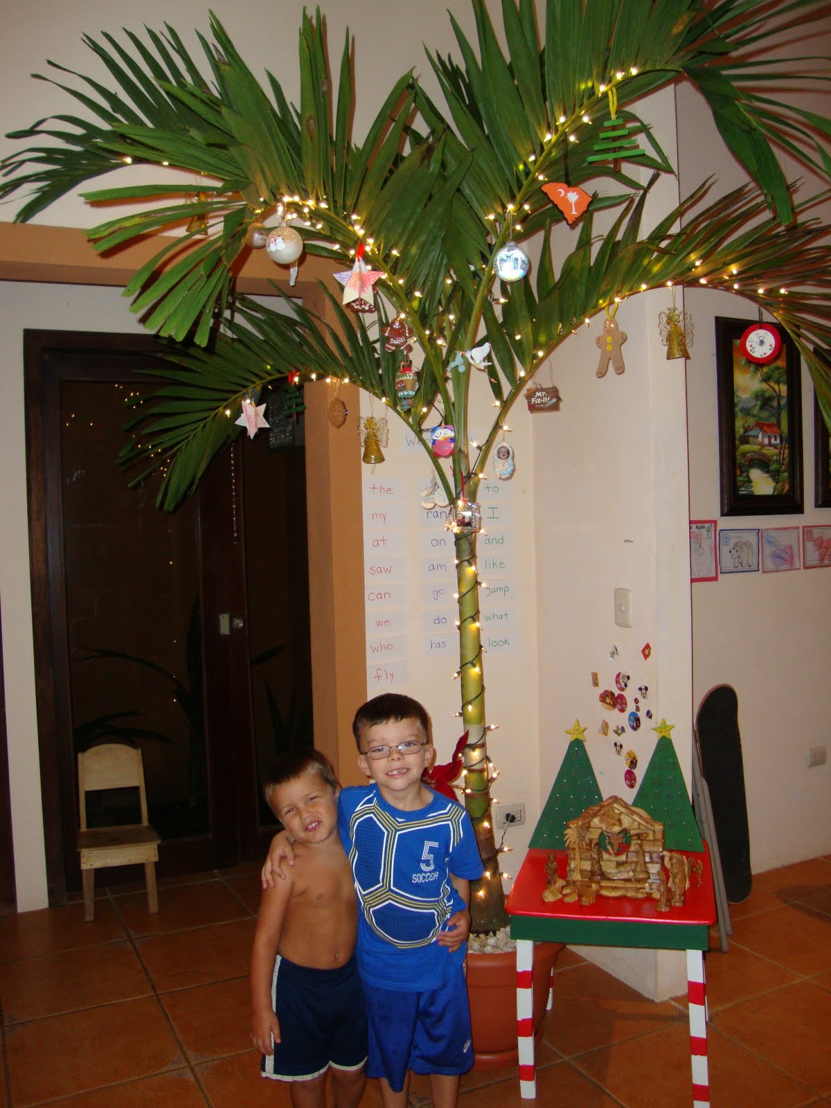 The Barretts in Costa Rica: Our "Christmas Tree"