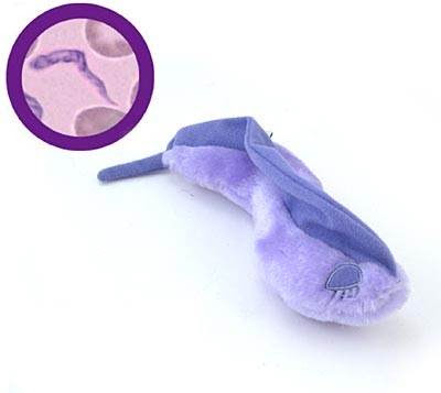 Cute & Beautiful Bacteria Toys..........!