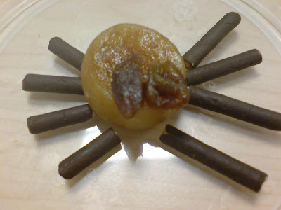 Beacon1-1: Our edible spiders!