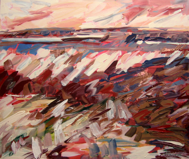 Judy Arsenault - Visual Artist: November 2010