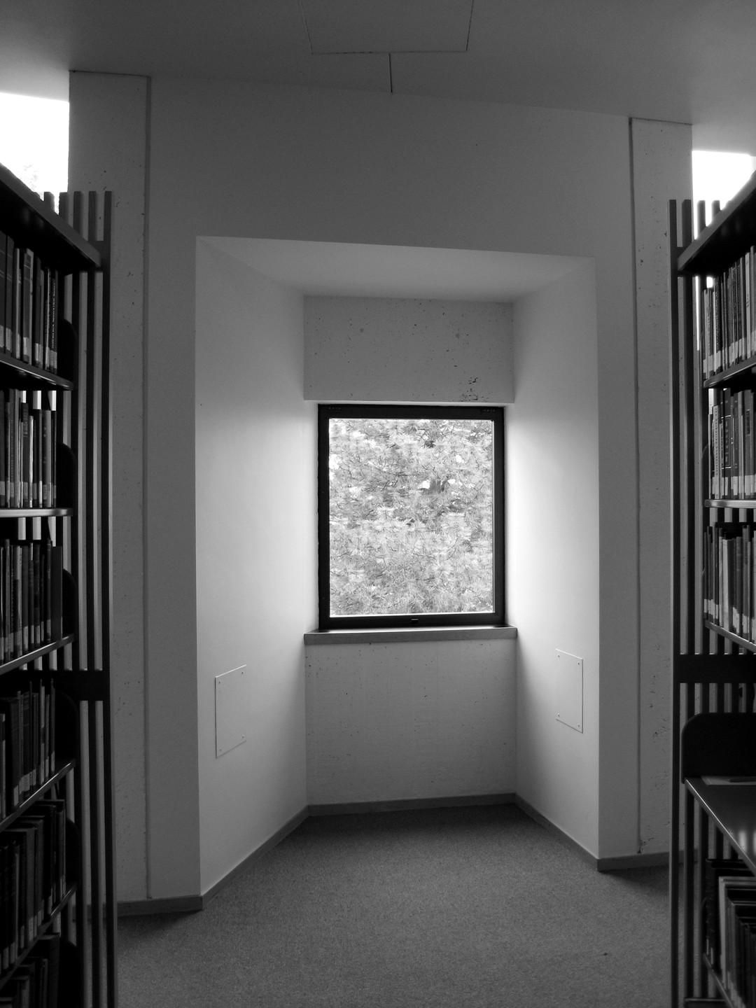 General Architecture: Container of Light