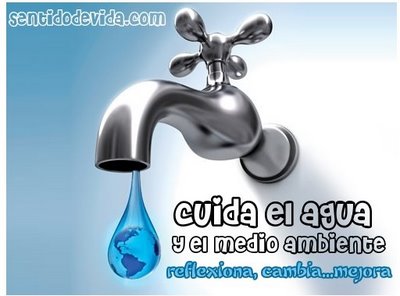 CUIDEMOS EL AGUA.: Cuidando El Agua