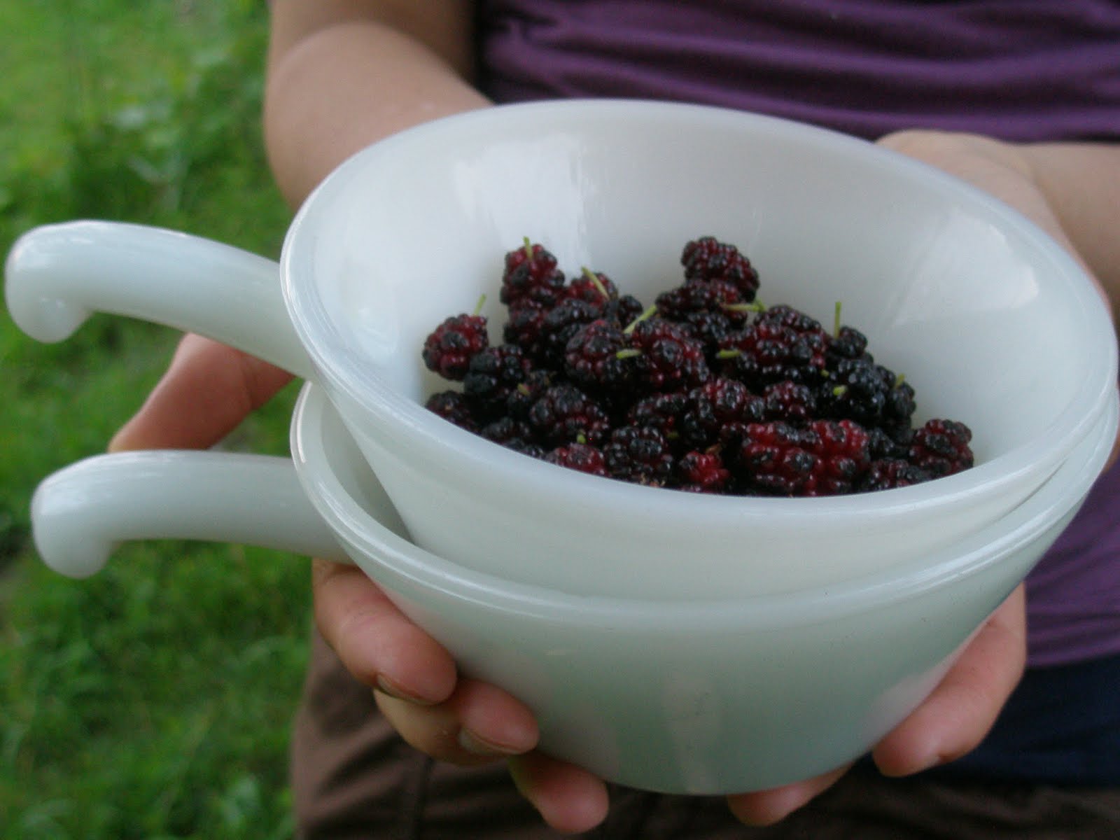 cooking in the garden unit: Mulberries to boot!