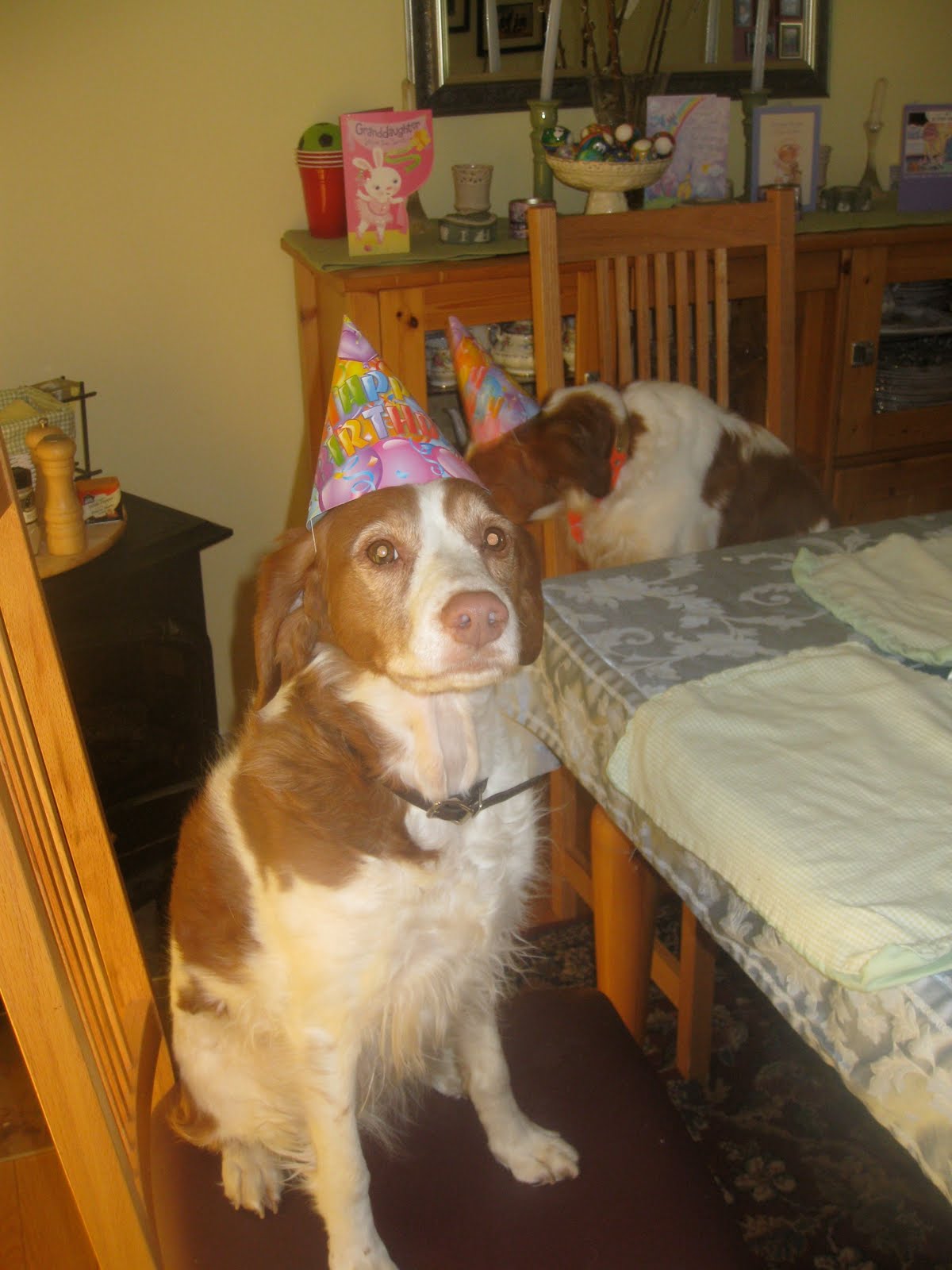 Finding What I Am Looking For: Our "Max and Ruby" Cake