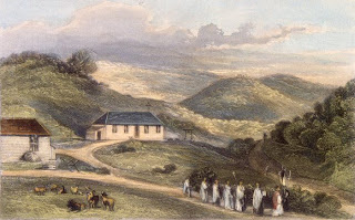 The New Zealand Journal: Manners Street, Wellington - 1840s