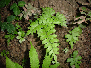 English. Three Minutes 4: “Jamaica Kincaid” By: Annie John Chapter ...