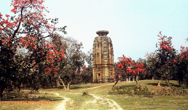 purulia ... a land of festival: Karam festival in purulia