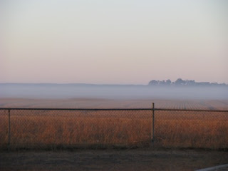 UltraViolet Observations: Shallow Fog