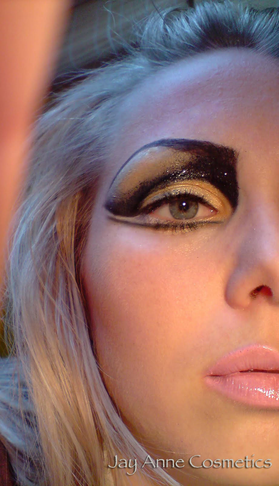 Jay Anne Cosmetics: CopyCat: Dior