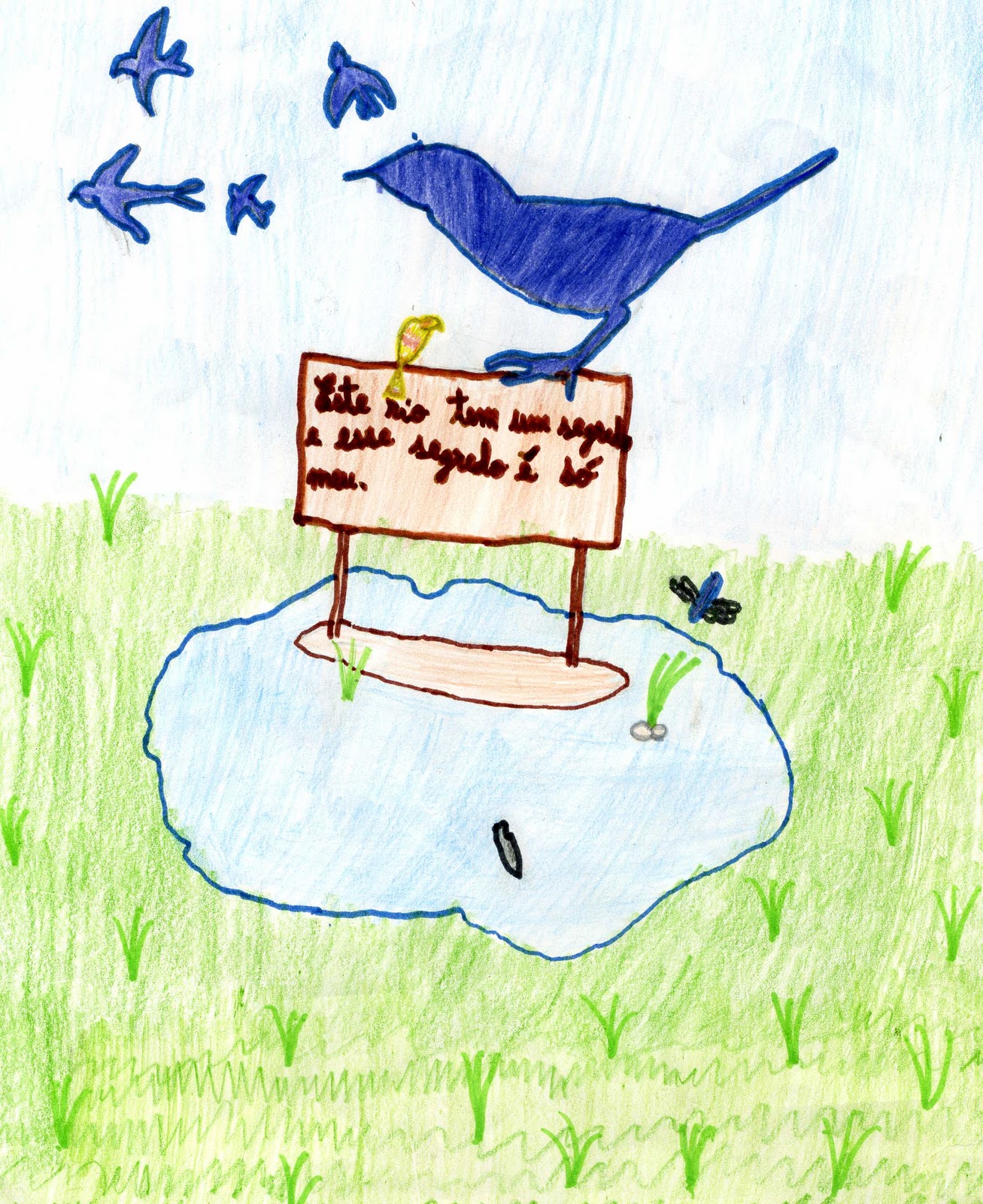 Porque Nós Lemos...: Resumo e ilustração da obra "O Segredo do Rio " de ...