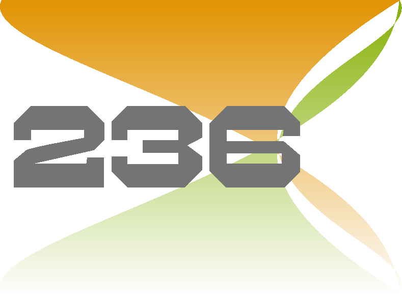 Numbers Number 236