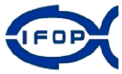 Vocabulario de Geografía: TEMA 3: ESPAÑA EN EUROPA