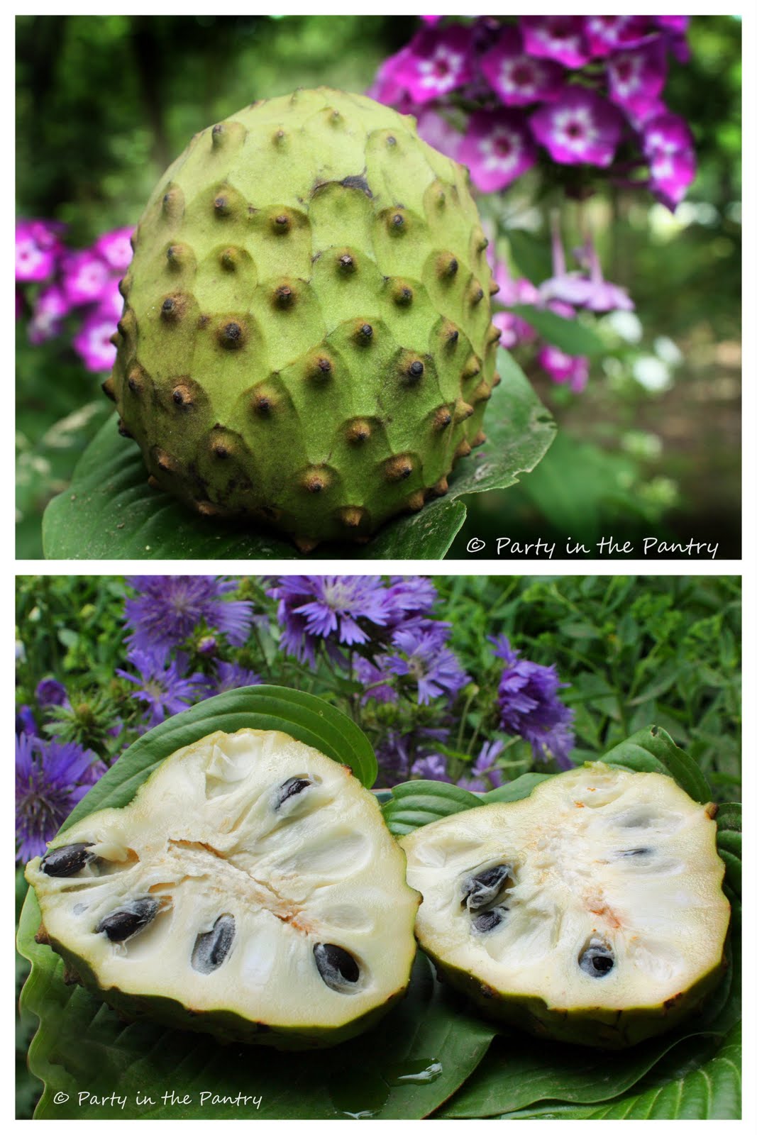 Party in the Pantry!: It's a Funky Fruit Tasting Party!!!