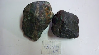 geolobeta: SULFUROS