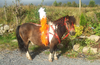 The Museum of the Master Saddler: TOUR OF THE MUSEUM Part 5 The Circus Pony