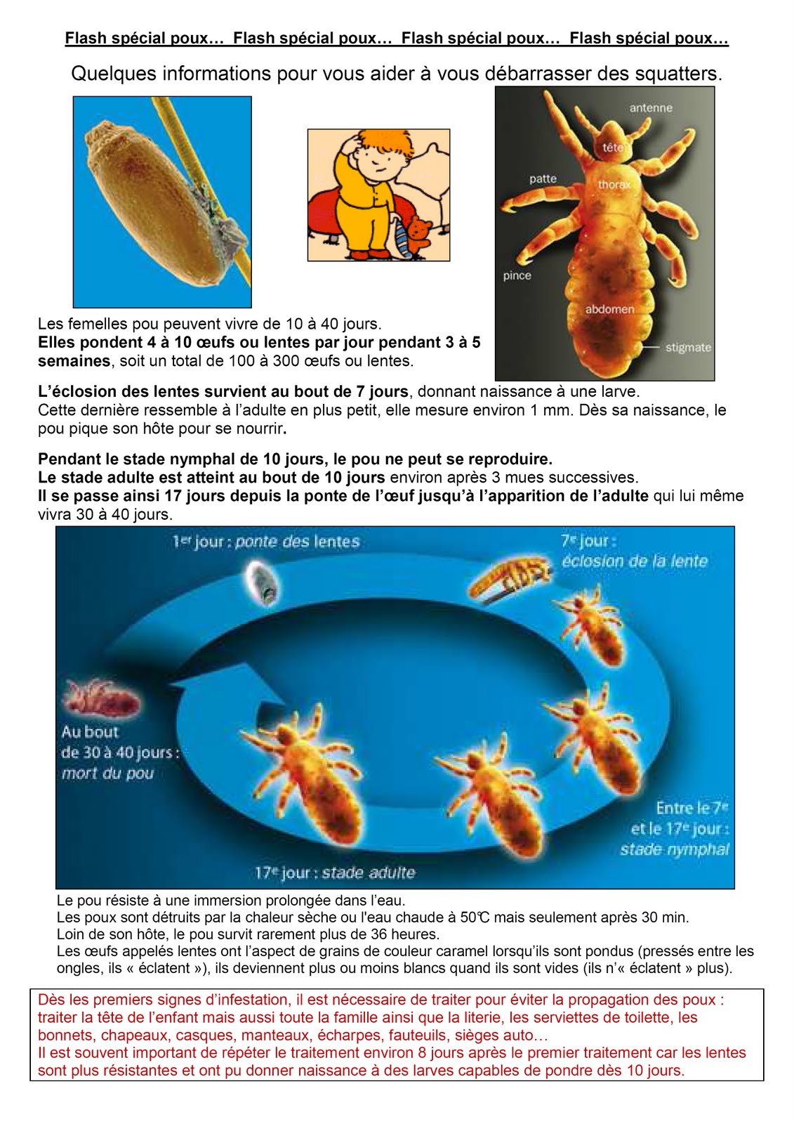Bienvenue à "La clé des champs": Tout savoir sur les poux