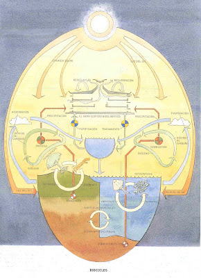 tejido ecosocial tres: Biociclos