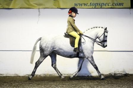 SUPREME PRODUCTS: The Supreme Products Mane and Tail Pulling Masterclass