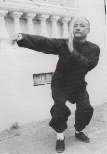 Malacca ChinWoo Athletic Association Seven Stars Mantis Boxing Class