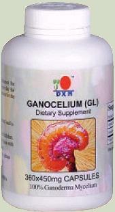 CAFÉ GANODERMA LUCIDUM: CAFÉ GANODERMA LUCIDUM