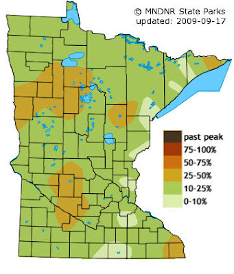 Fall Colors in Minnesota