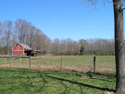 Broad Oak Farms