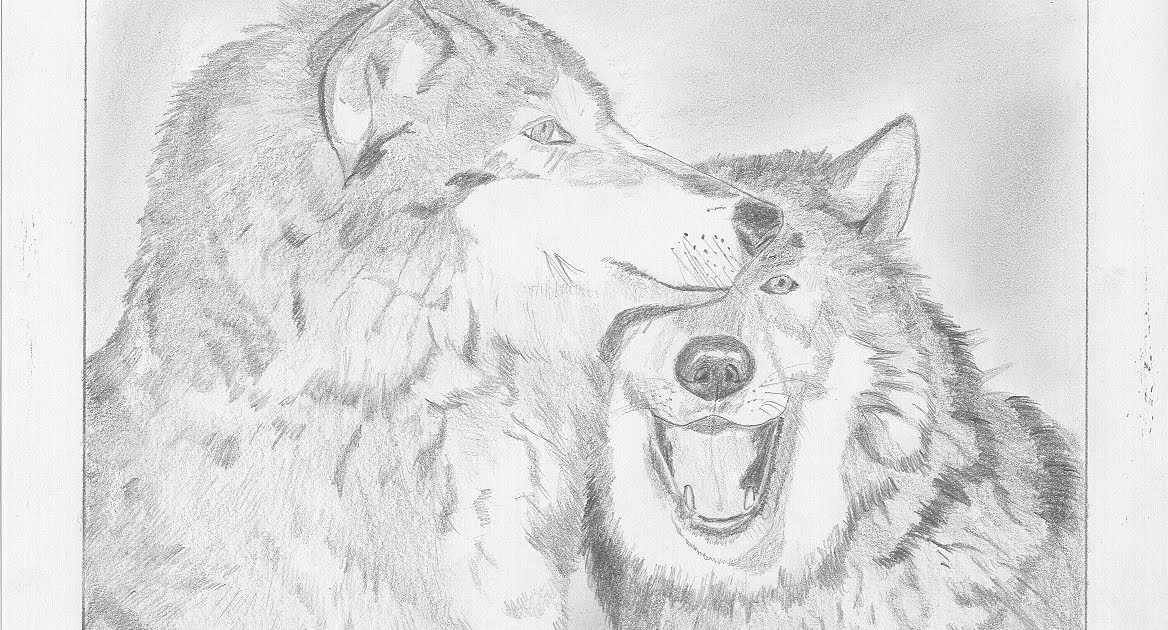 Farkaspár ~ Vereckei Tibor rajzai