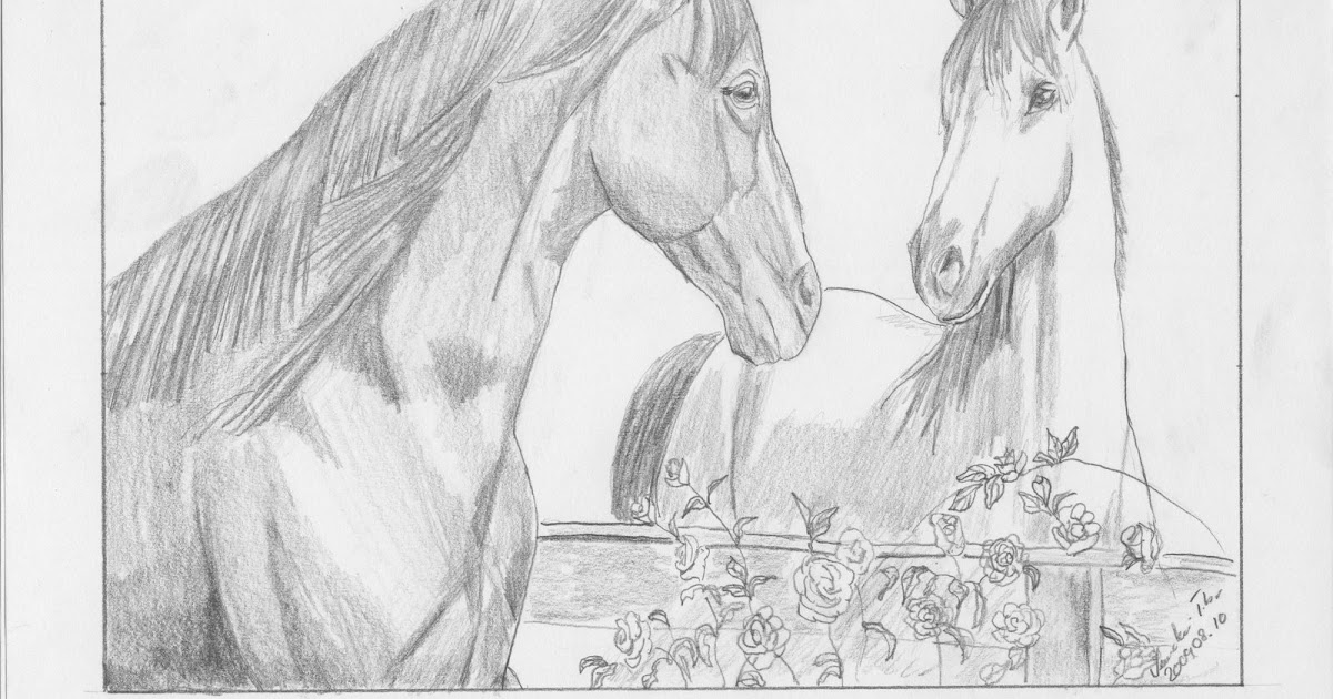 Lovak ~ Vereckei Tibor rajzai