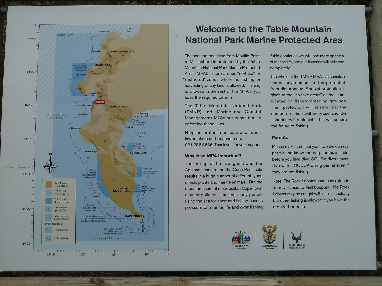 South Africa - July to October 2010: Chapman's Peak Drive