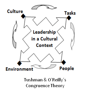 Leadership for Leaders: Leaders and Culture - Part III