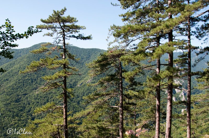 In linii mari: Traseul Crucea Alba