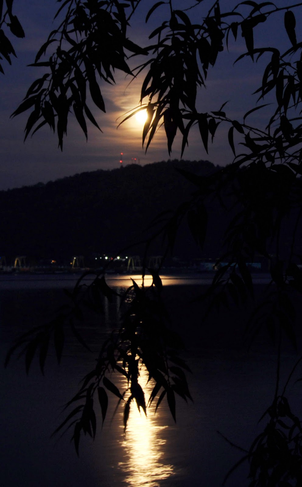 In linii mari: Noapte cu luna