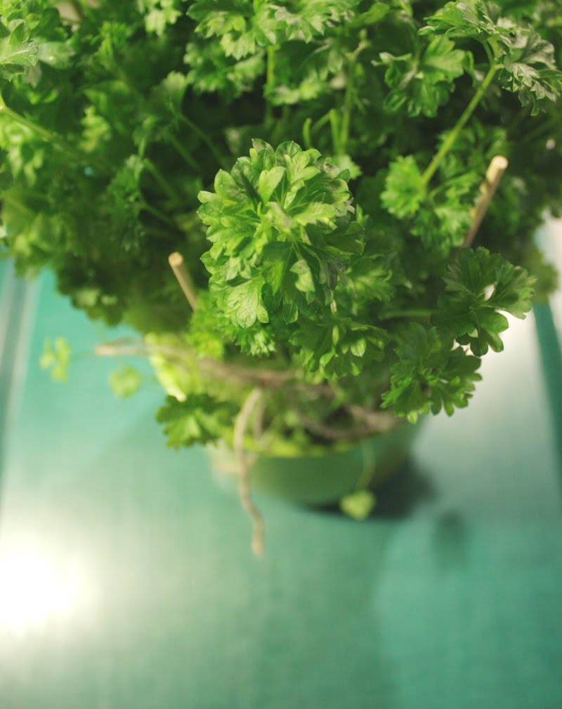 Persillerotpuré | Veganmisjonen