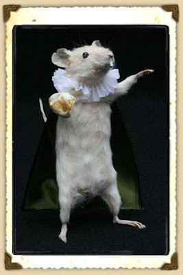 Cool Stuff: Paxton Gate