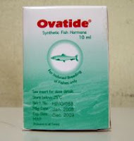 Aquatech Solutions: Peralatan Akuakultur