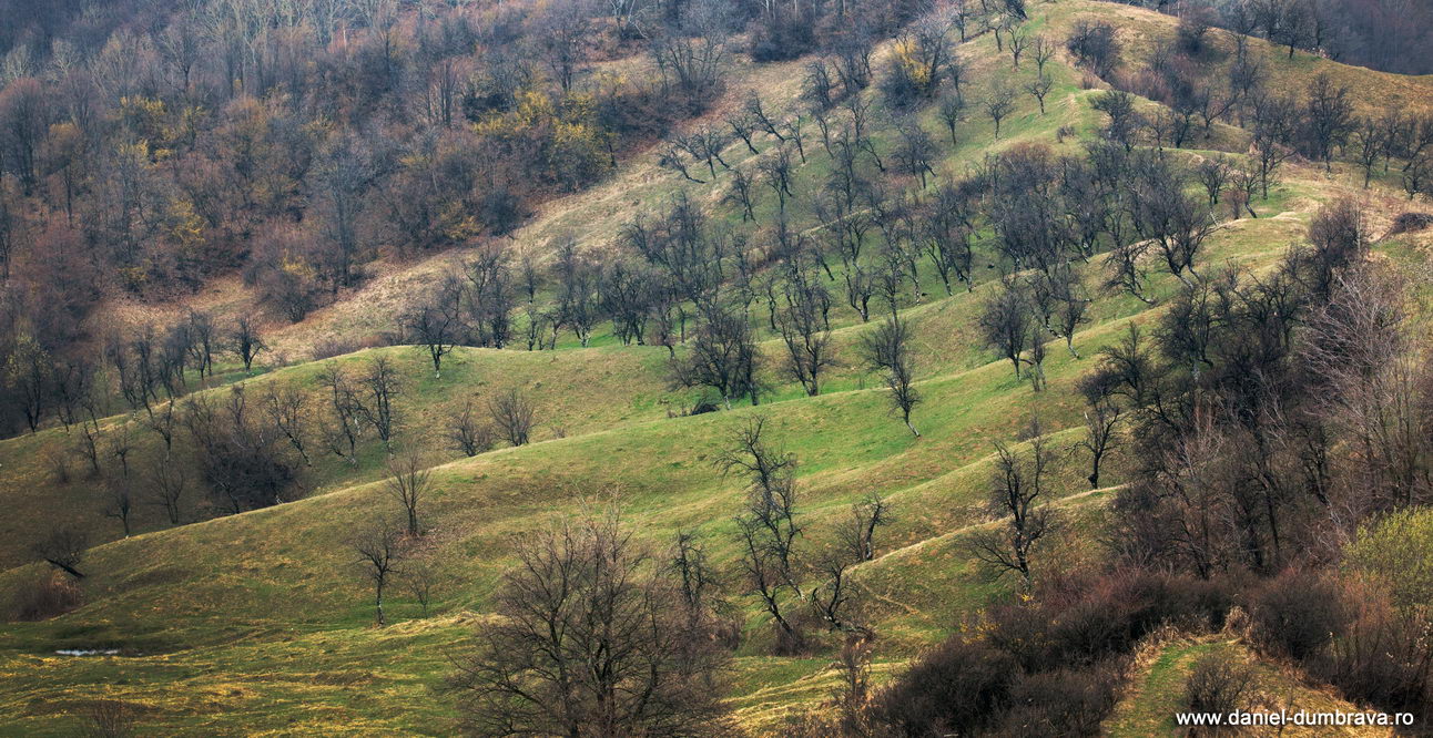 Club Fotochindia: Excursie la Varfuri