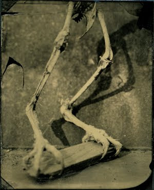 robert shimmin wet plate photography