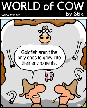 The Cartoonist known as StiK: May 2009