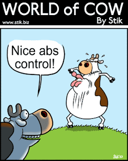 The Cartoonist known as StiK: 2010