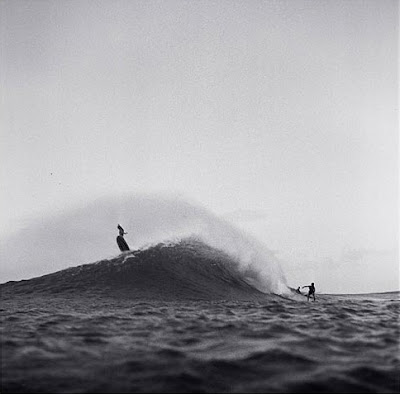 The Year in Pictures: Surfing the Web