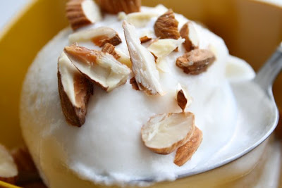 Almond Gelato | The Frozen Fix: Ice cream, sorbet, and frozen yogurt ...