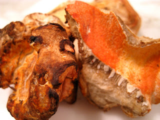 Mt. Adams Grass Fed Hanger Steak, Creamy Grits, Endive Salad