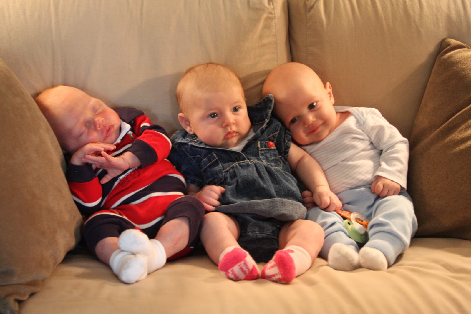 The LeBaron Family: 3 baby friends