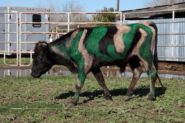 THIS IS SO CONTEMPORARY™: Ron English • The New World order